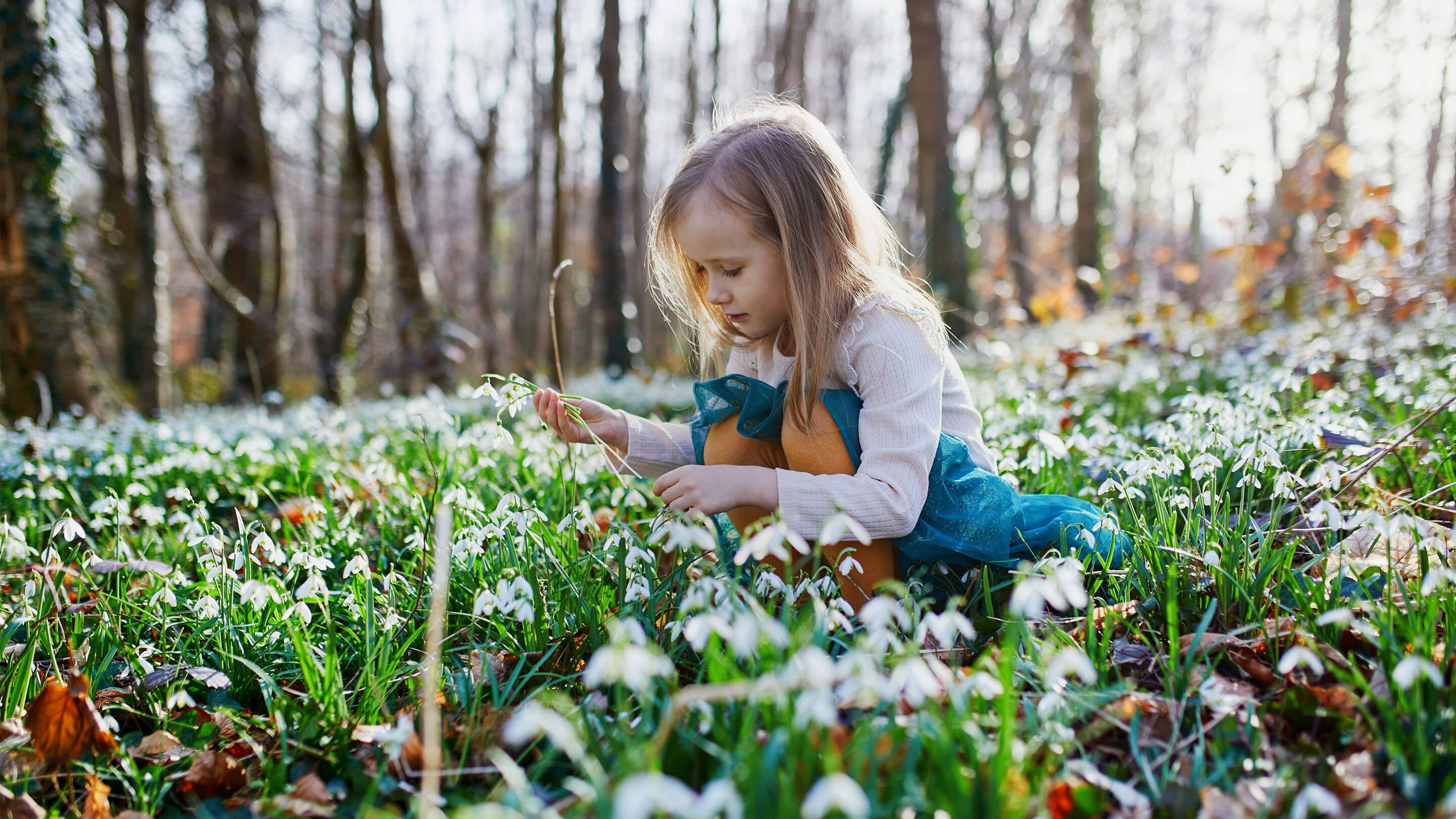 Montessori-Inspired Spring Activities for Preschoolers | HABA USA