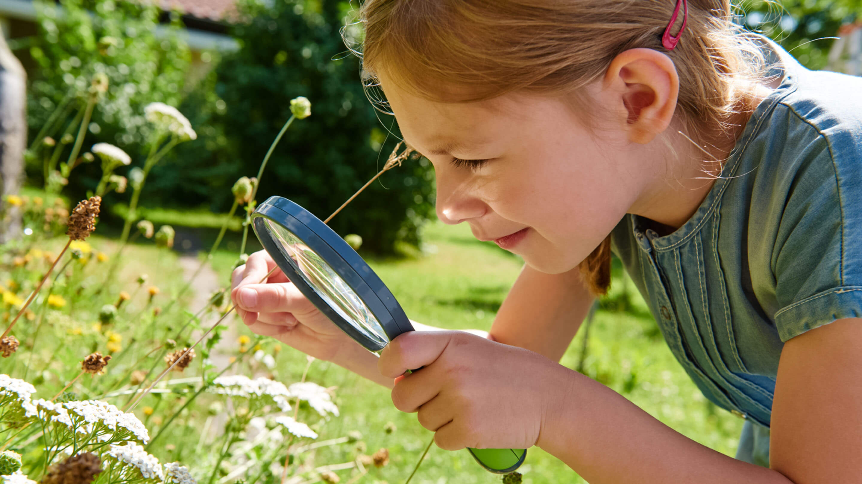 7 Ways to Answer When the Backyard Calls for Adventure– HABA USA