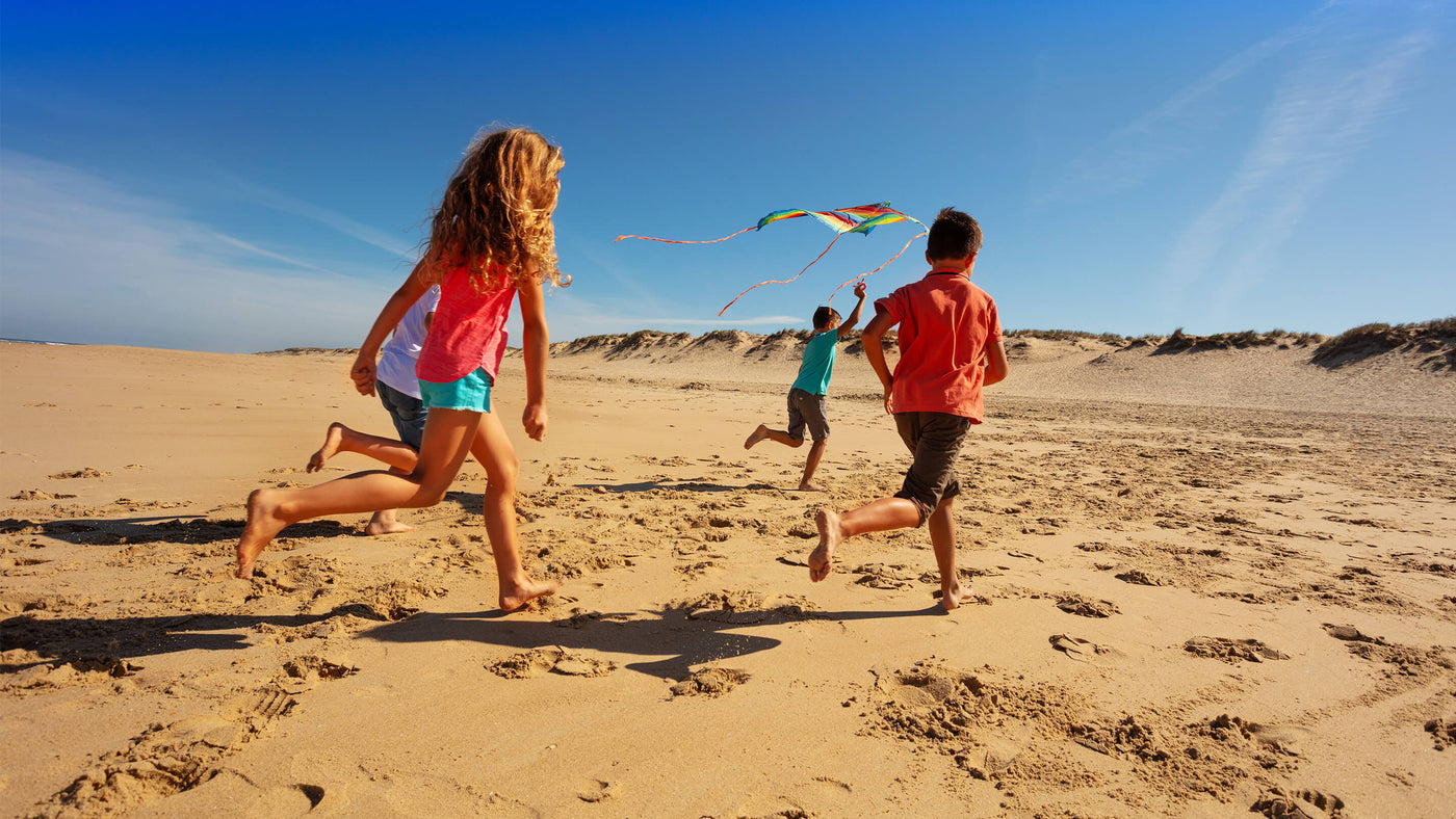 10 Fun Beach Activities for Kids (That Keep Them Playing All Day)– HABA USA
